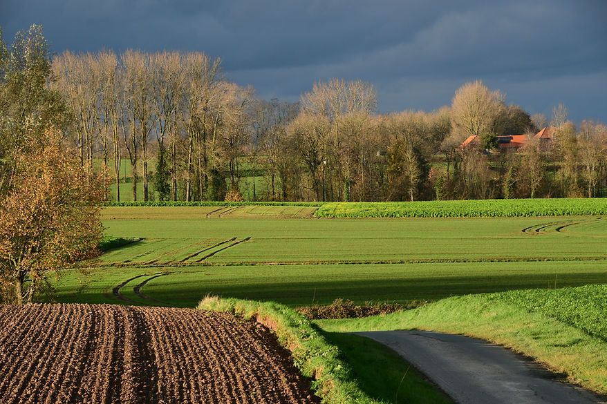 Boerenlandschap Pajottenland | Pajottenland+
